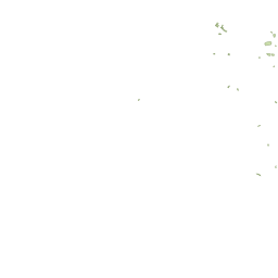 MapGeo