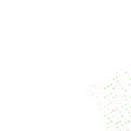 MapGeo