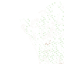 MapGeo